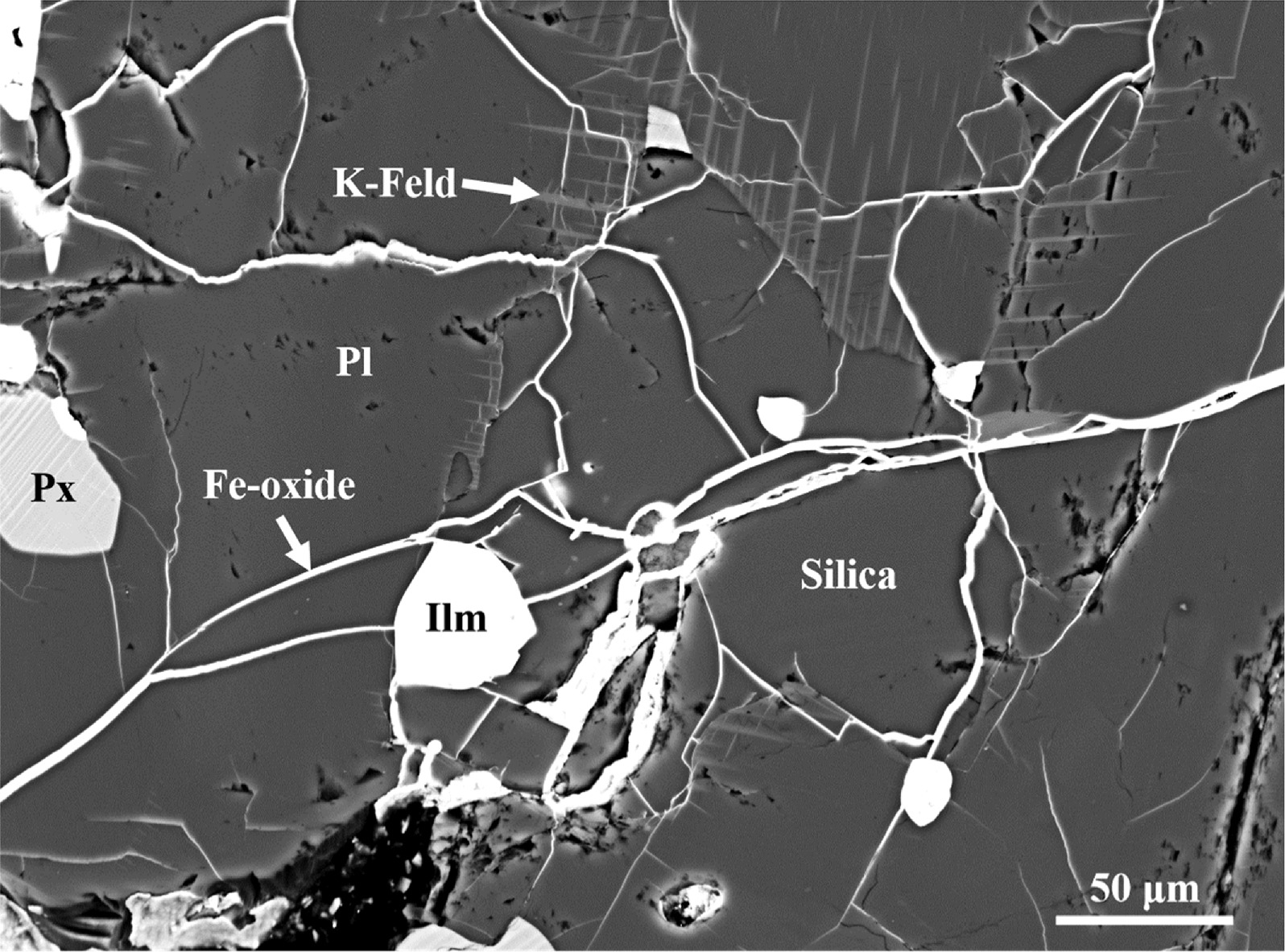 Highly Heterogeneous Parent Body of the Rare Andesitic Erg Chech 002 ...
