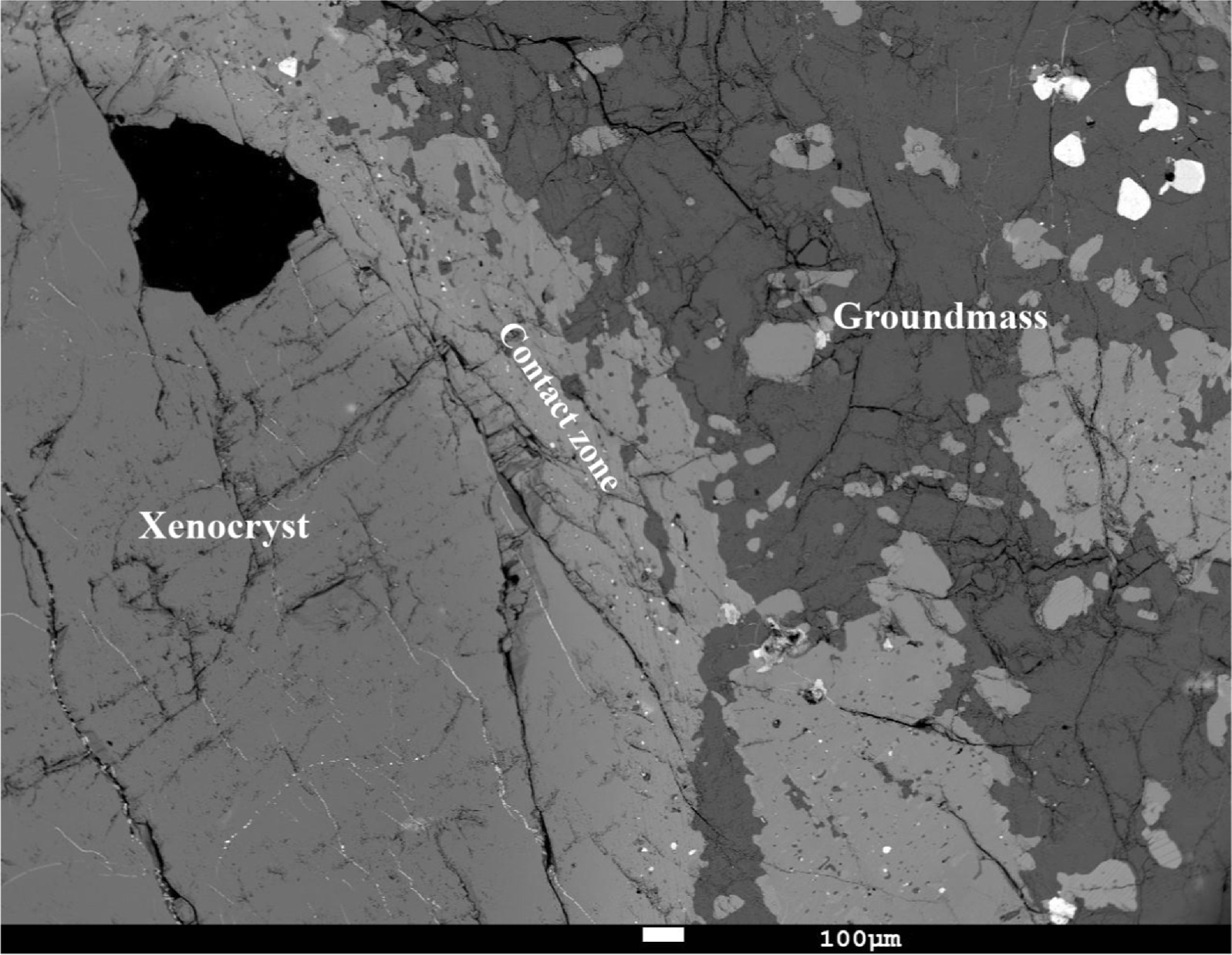 Highly Heterogeneous Parent Body of the Rare Andesitic Erg Chech 002 ...