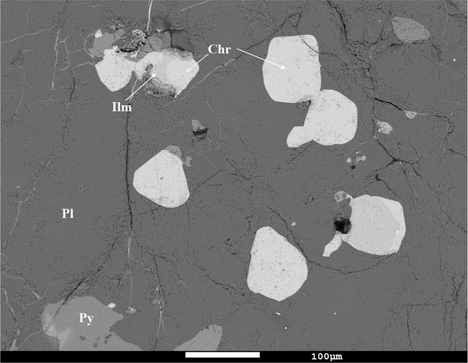 Highly Heterogeneous Parent Body of the Rare Andesitic Erg Chech 002 ...