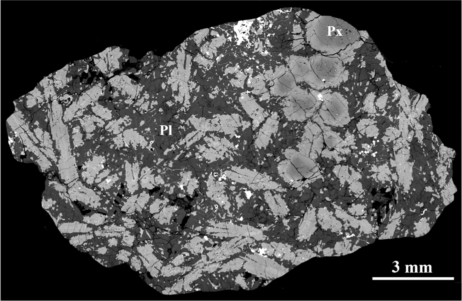 Highly Heterogeneous Parent Body of the Rare Andesitic Erg Chech 002 ...