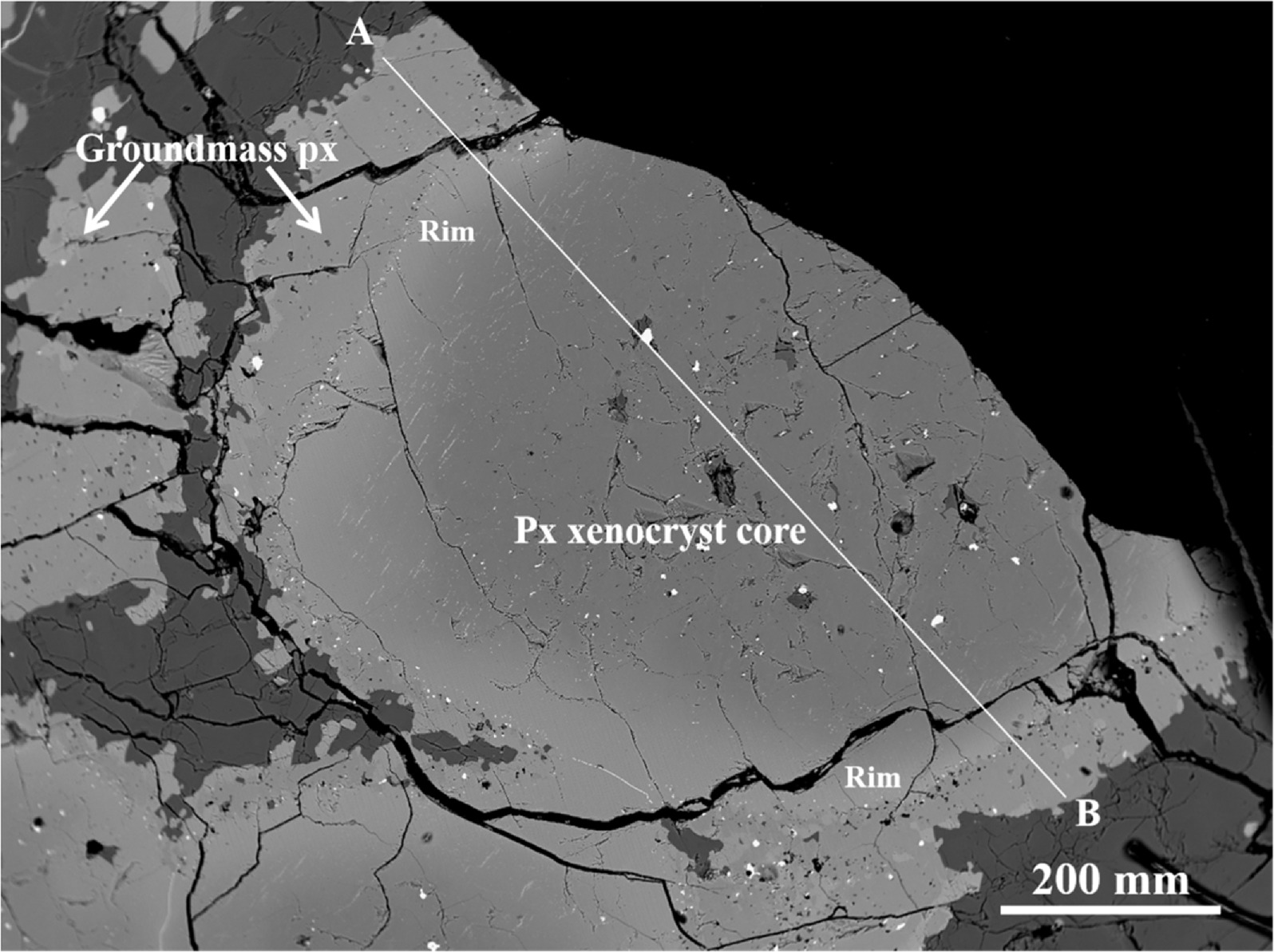 Highly Heterogeneous Parent Body of the Rare Andesitic Erg Chech 002 ...