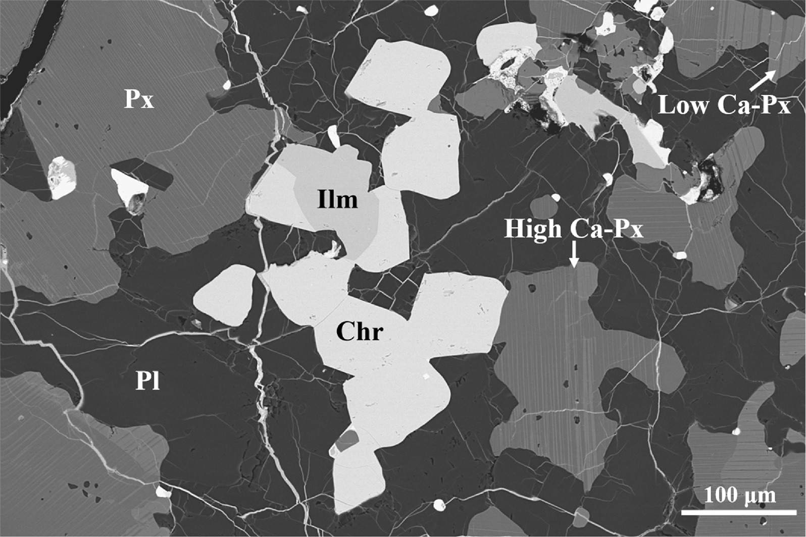 Highly Heterogeneous Parent Body of the Rare Andesitic Erg Chech 002 ...