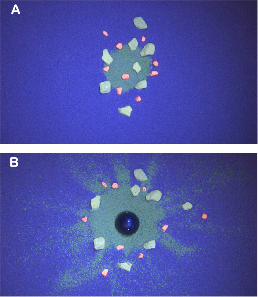 Evidence of Recent Material Transport within a Binary Asteroid System ...