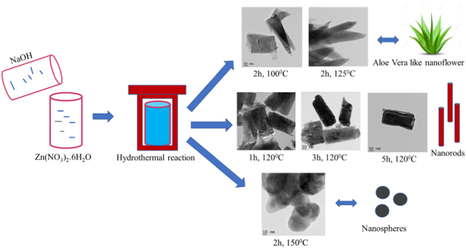Hydrothermal synthesis and characterization of Zinc Oxide nanoparticles ...