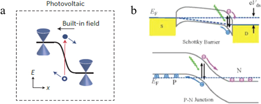 Recent progress and challenges based on two-dimensional material photodetectors - IOPscience