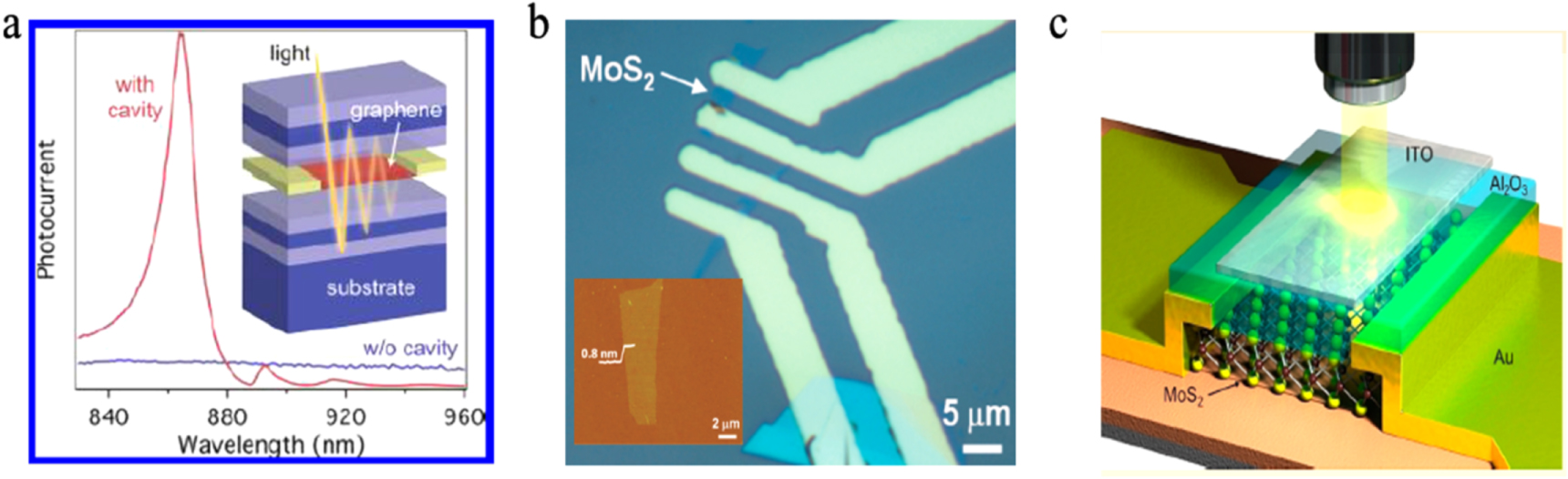 Recent progress and challenges based on two-dimensional material ...