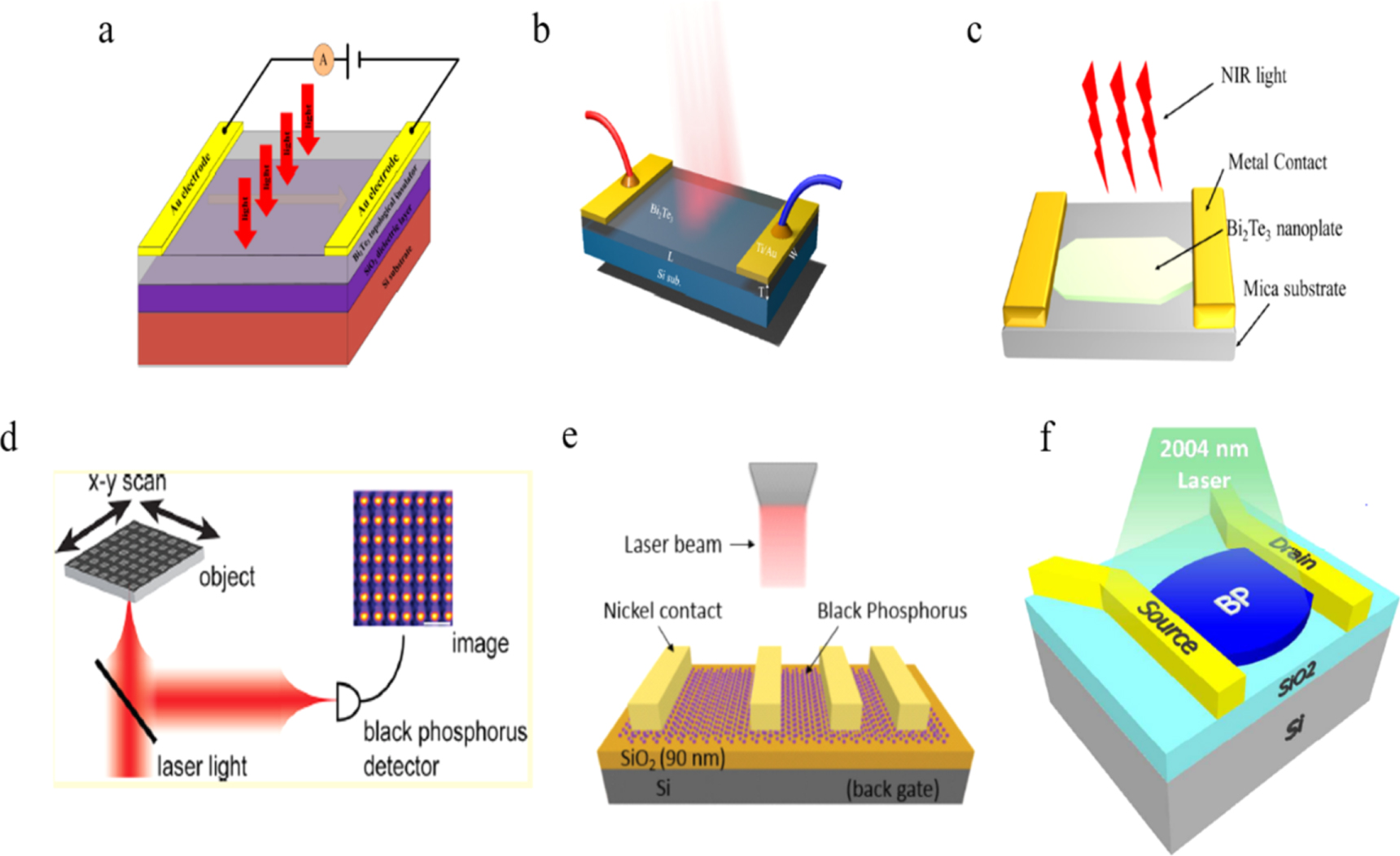 Recent progress and challenges based on two-dimensional material ...