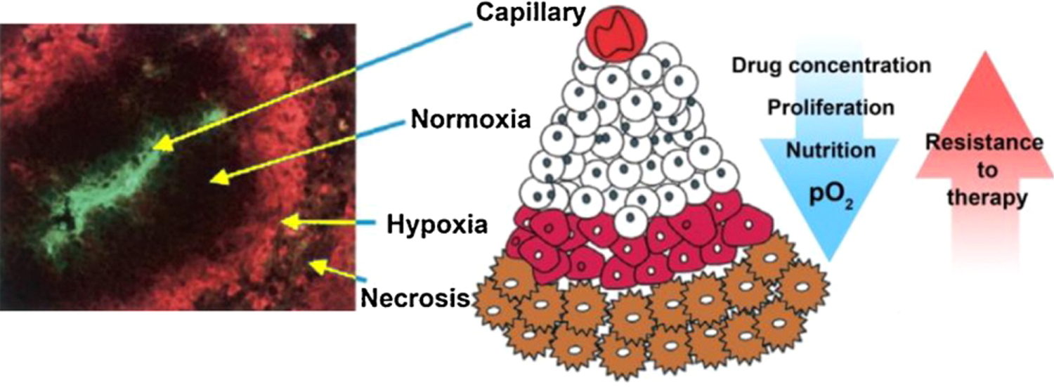 Recent progress and applications of gold nanotechnology in medical ...