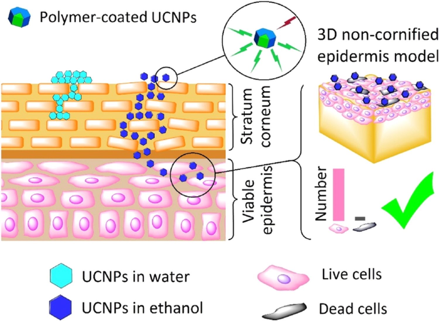 Nanotechnology in cosmetics pros and cons - IOPscience
