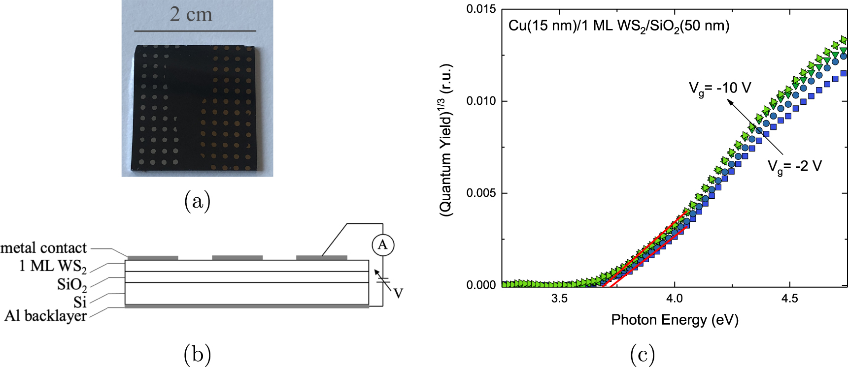 Processing Stability of Monolayer WS2 on SiO2 - IOPscience