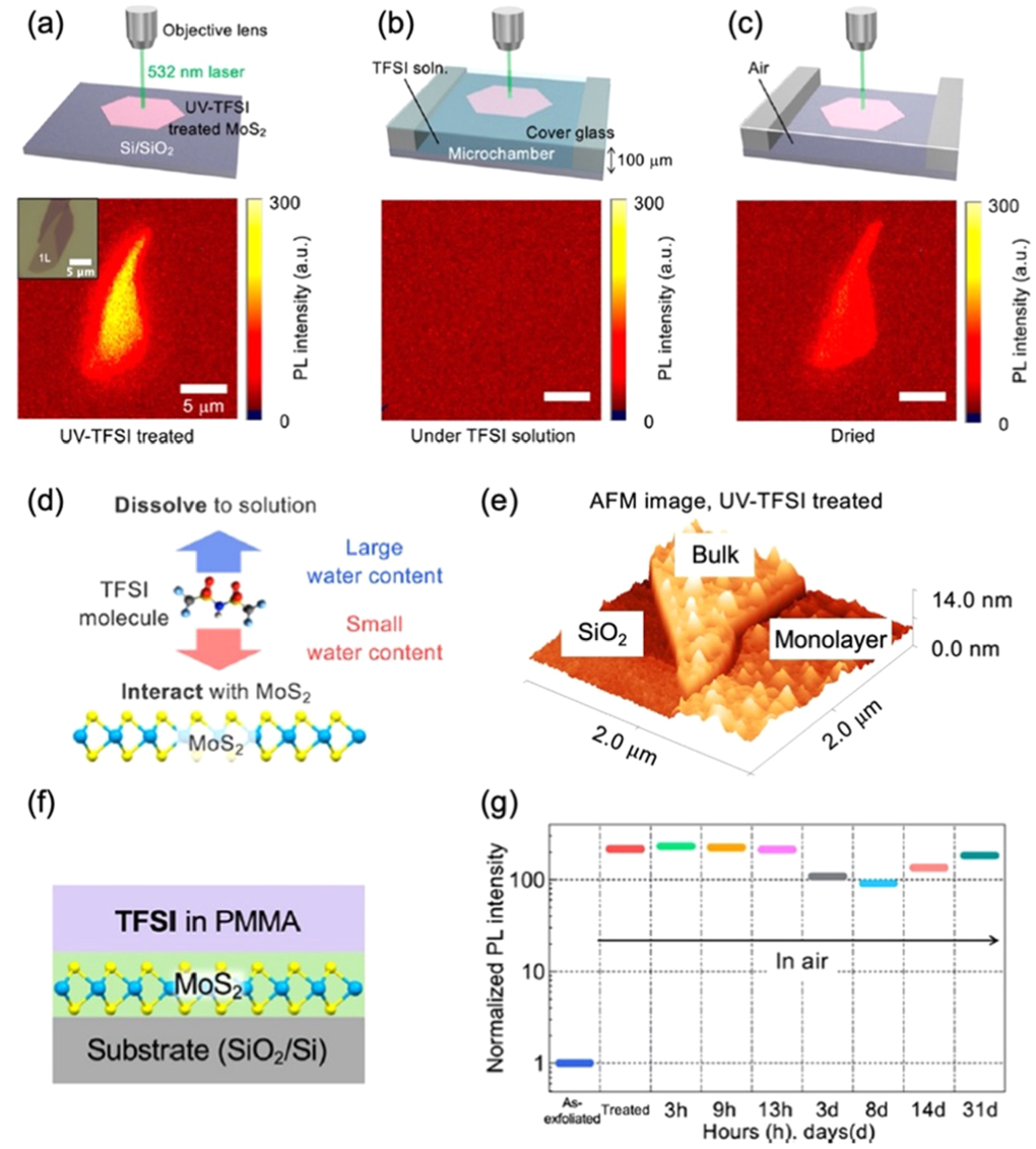 Superacid Treatment on Transition Metal Dichalcogenides - IOPscience