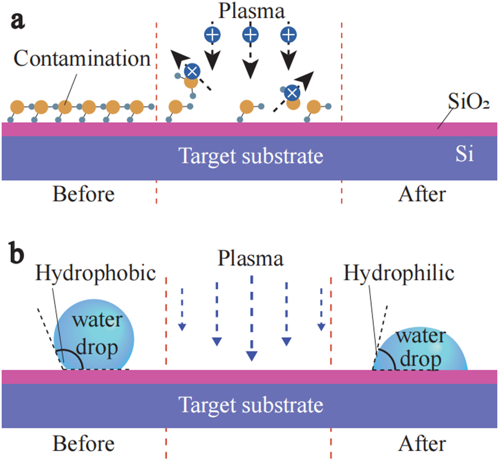 Plasma assisted approaches toward high quality transferred synthetic ...