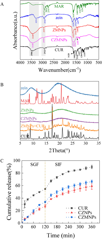 Zein nanoparticles stabilized by hydrophilic small molecule stabilizer ...