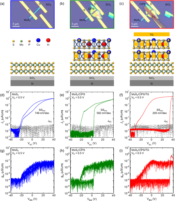 Enhanced electrodynamic gating in two-dimensional transistors using ...