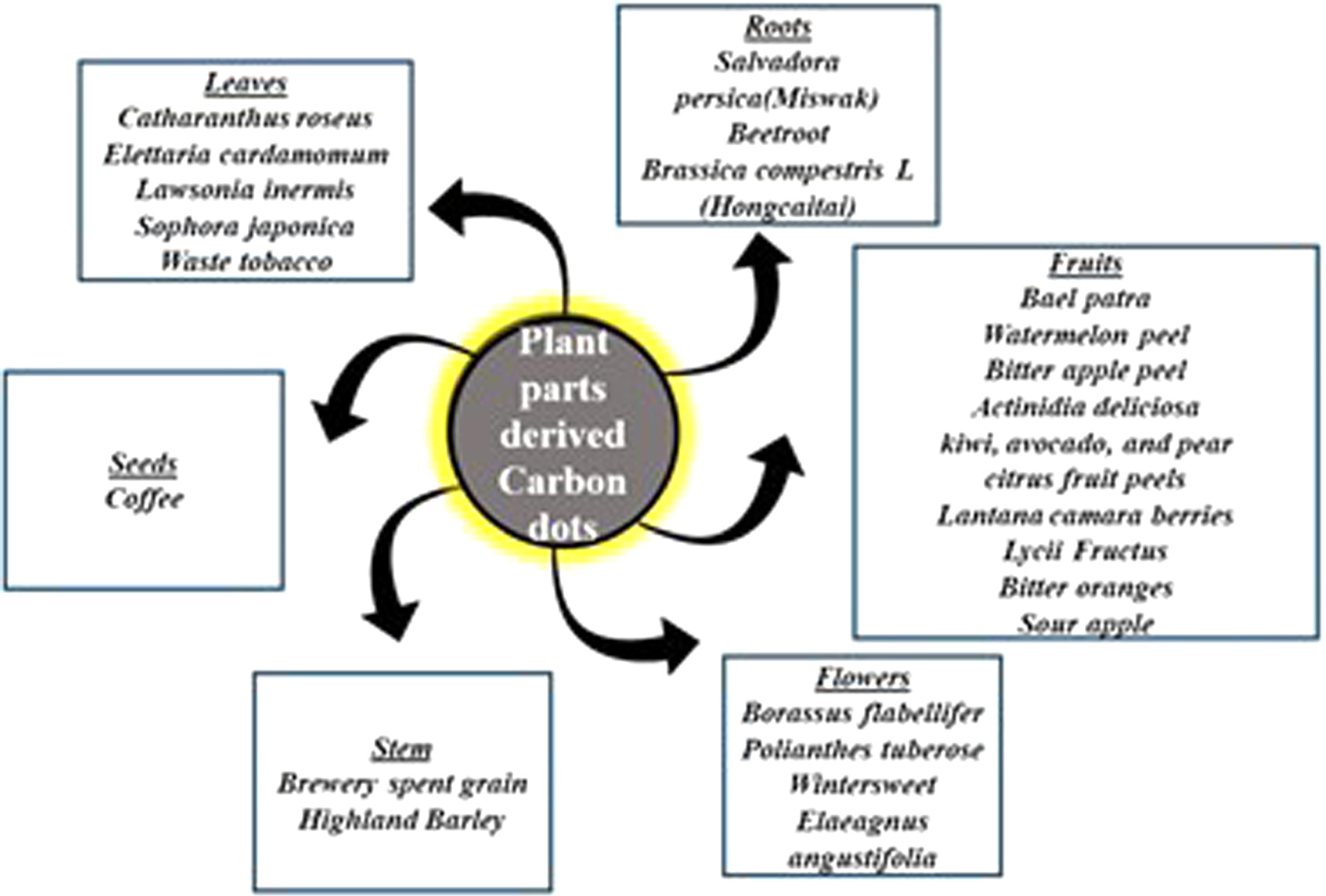 Plant-based carbon dots are a sustainable alternative to conventional nanomaterials for ...