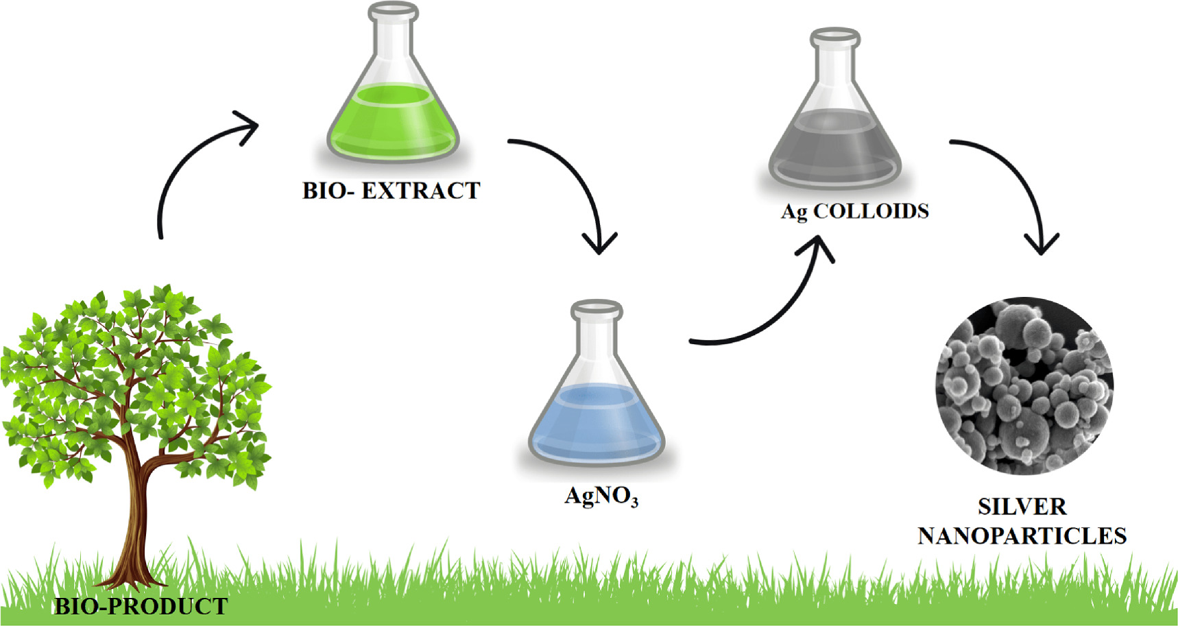 Exploring the efficiency of green synthesized silver nanoparticles as ...