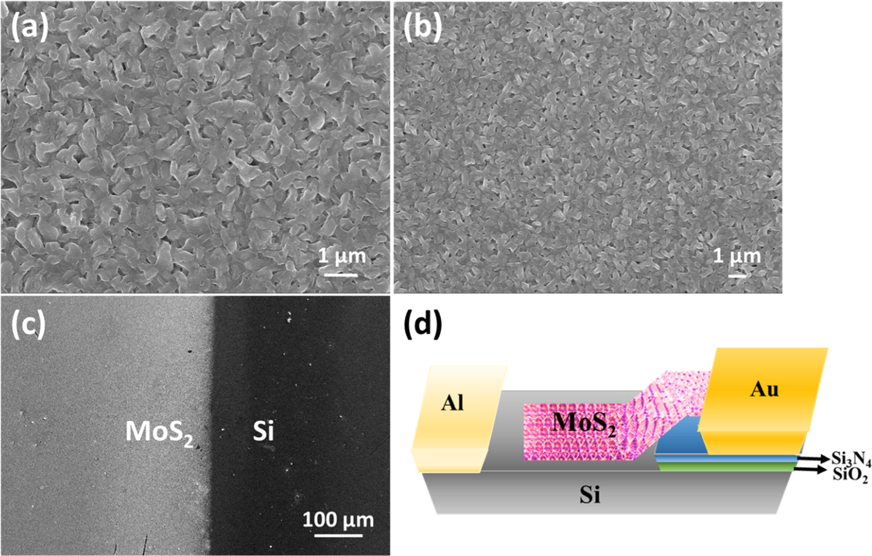 Modeling of MoS2/Si heterostructure to study charge transfer dynamics ...