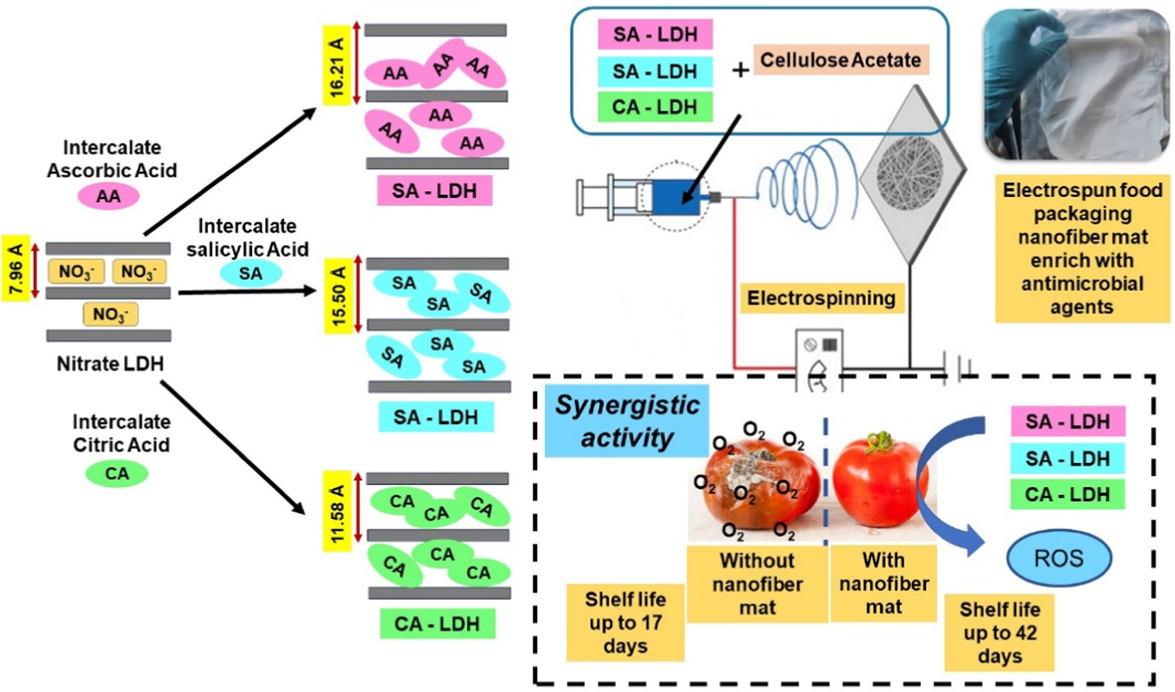 The antimicrobial synergy of polymer based nanofiber mats reinforced ...