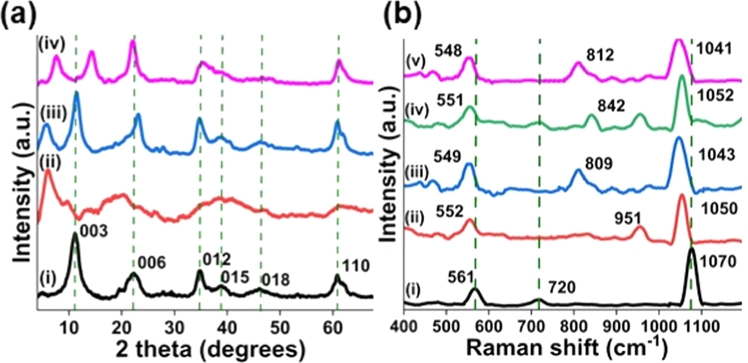 The antimicrobial synergy of polymer based nanofiber mats reinforced ...