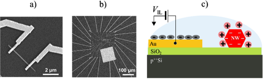 Persistent polarization effects and memory properties in ionic-liquid ...