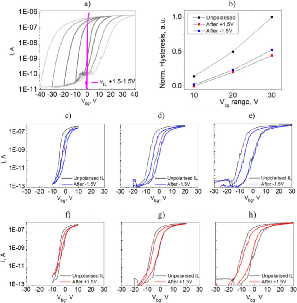 Persistent polarization effects and memory properties in ionic-liquid ...