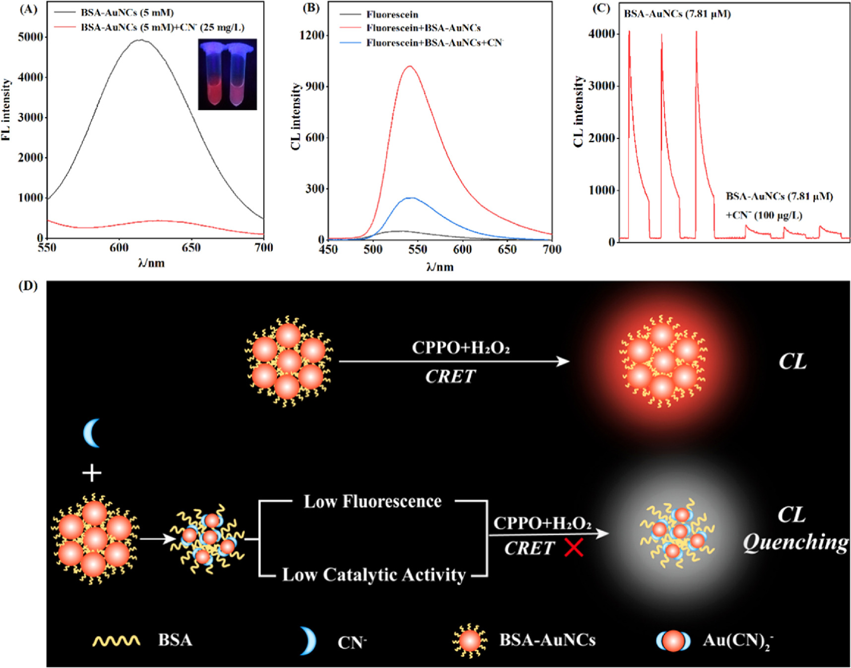 Luminescent probes/conjugates derived from quantum dots, nanoparticles ...