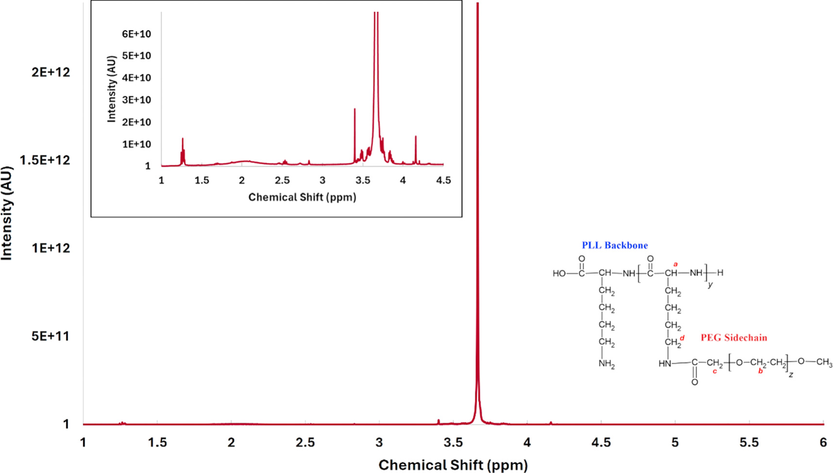 Evaluation of long-term stability of L-asparaginase encapsulated PLL-g ...