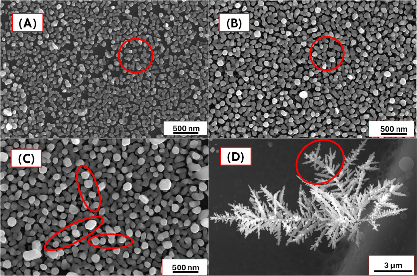 A facile approach for growing Ag nano-dendrites employing towards E ...
