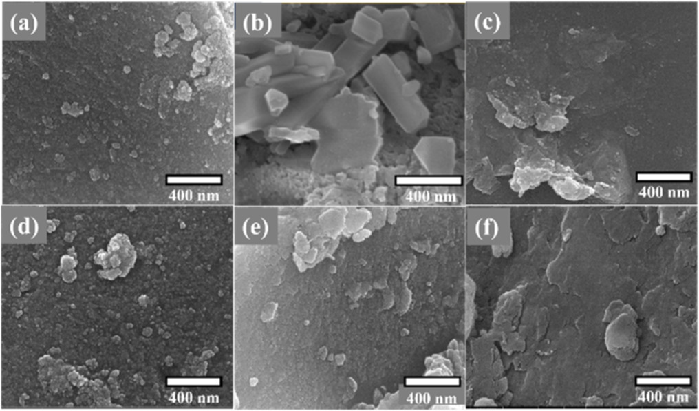 SnO2 quantum dots dispersed TGCN nanosheets for improved ethanol ...