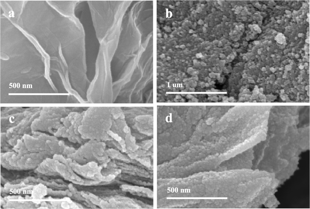 The high photocatalytic activity of nitrogen doped and {001} facets ...