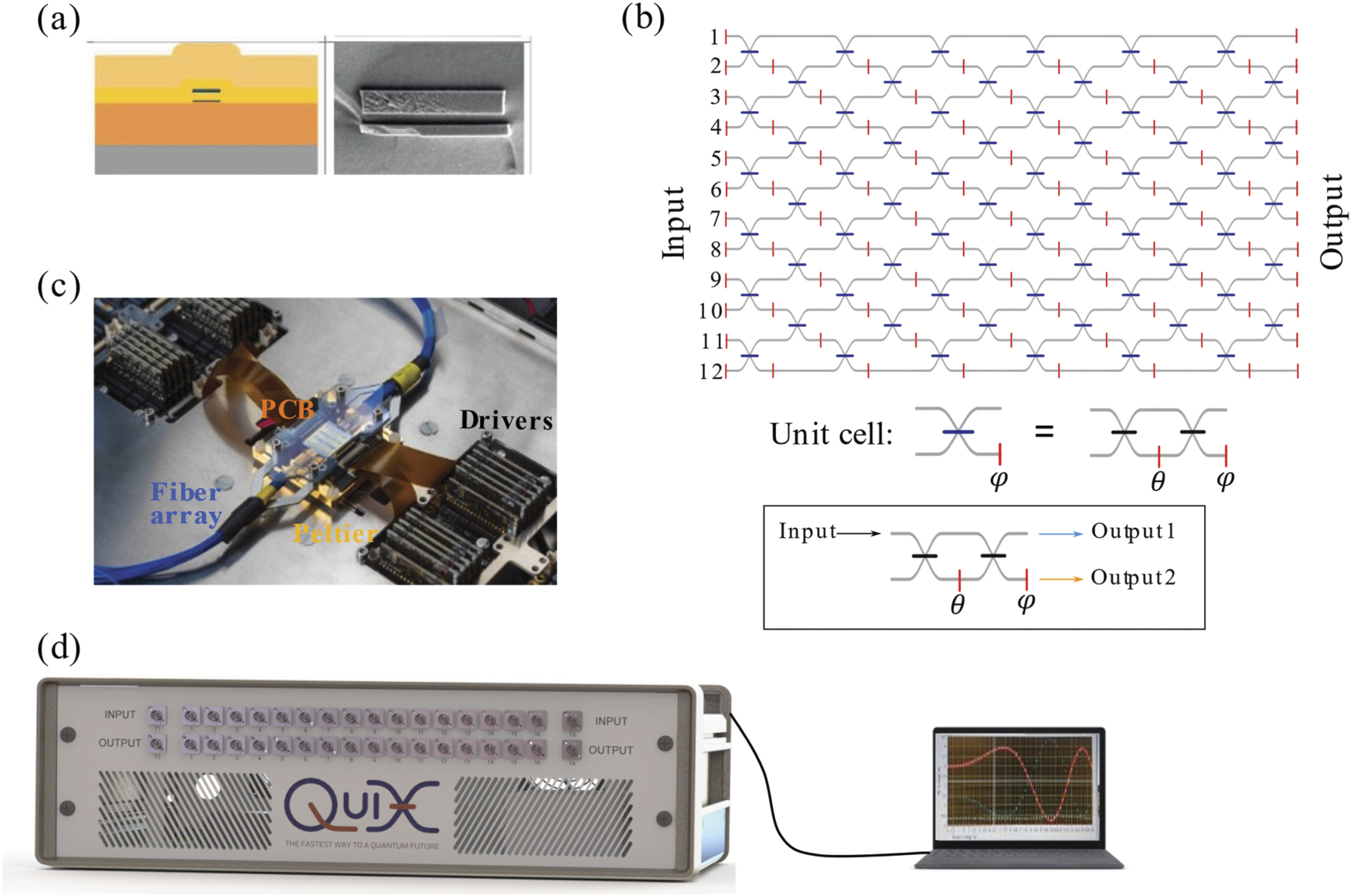 A universal fully reconfigurable 12-mode quantum photonic processor ...