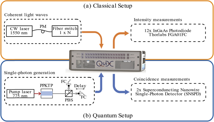 A universal fully reconfigurable 12-mode quantum photonic processor ...