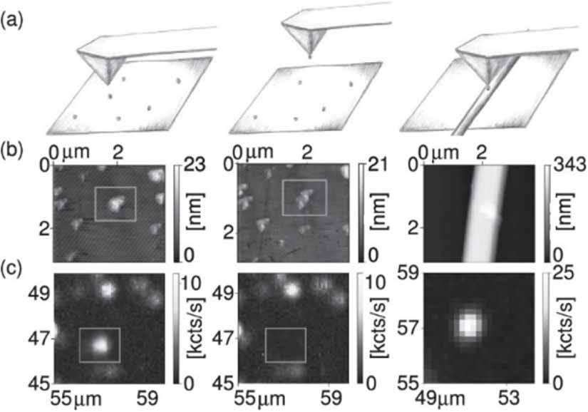 Fiber-coupled quantum light sources based on solid-state quantum ...