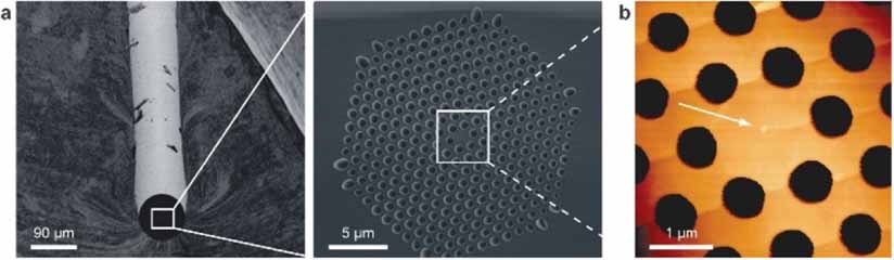 Fiber-coupled quantum light sources based on solid-state quantum ...