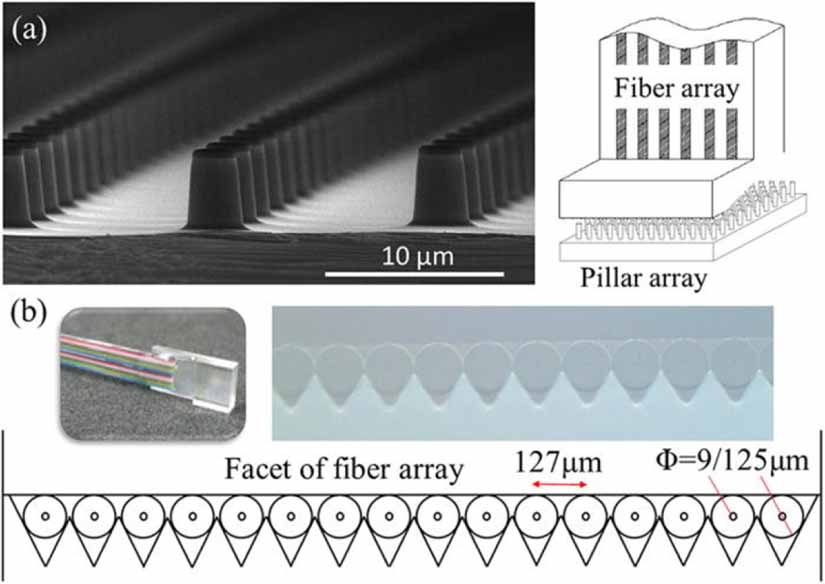 Fiber-coupled quantum light sources based on solid-state quantum ...