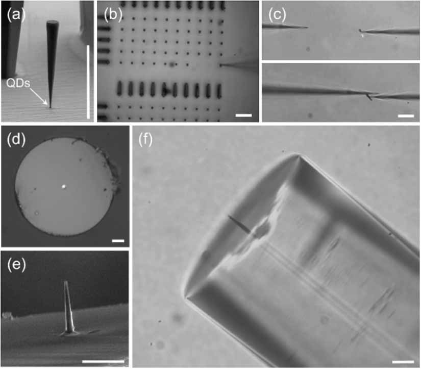 Fiber-coupled quantum light sources based on solid-state quantum ...