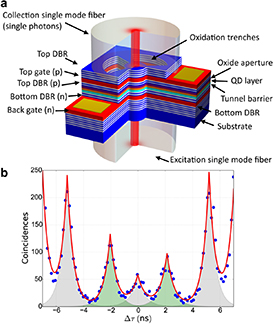 Fiber-coupled quantum light sources based on solid-state quantum ...