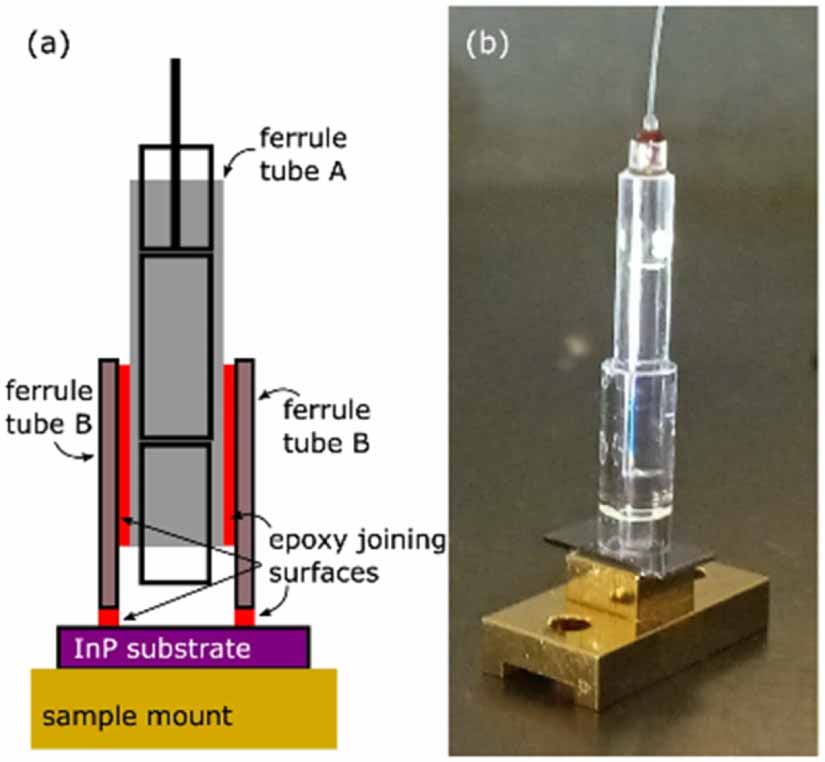 Fiber-coupled quantum light sources based on solid-state quantum ...