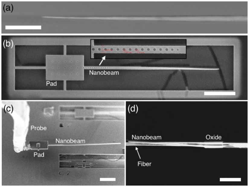 Fiber-coupled quantum light sources based on solid-state quantum ...