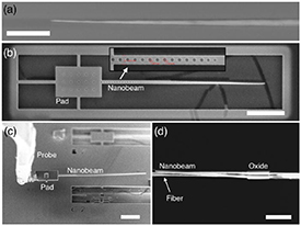 Fiber-coupled quantum light sources based on solid-state quantum ...