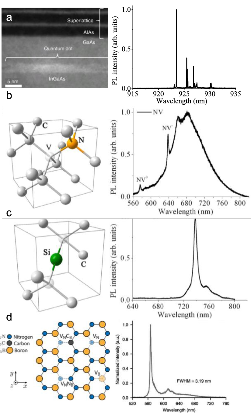 Fiber-coupled quantum light sources based on solid-state quantum ...