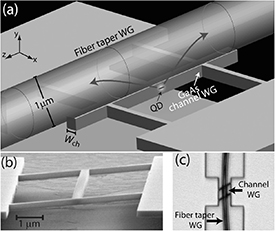 Fiber-coupled quantum light sources based on solid-state quantum ...
