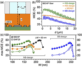 Fiber-coupled quantum light sources based on solid-state quantum ...