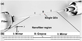Fiber-coupled quantum light sources based on solid-state quantum ...