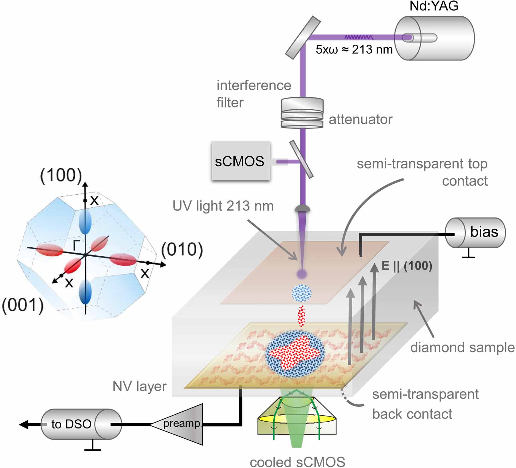 Optical detection of valley-polarized electron diffusion in diamond ...