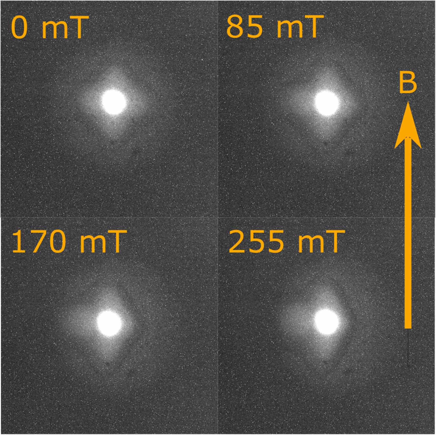 Optical detection of valley-polarized electron diffusion in diamond ...
