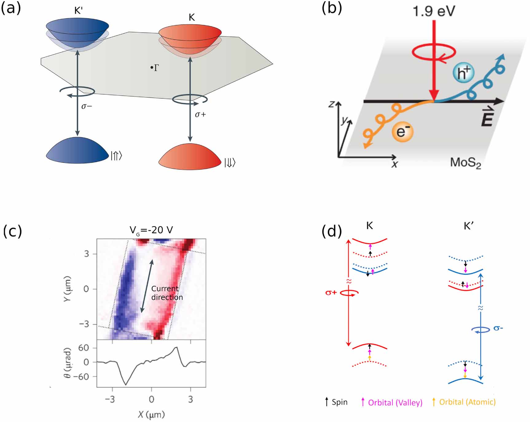 Band structure and spin texture of 2D materials for valleytronics ...