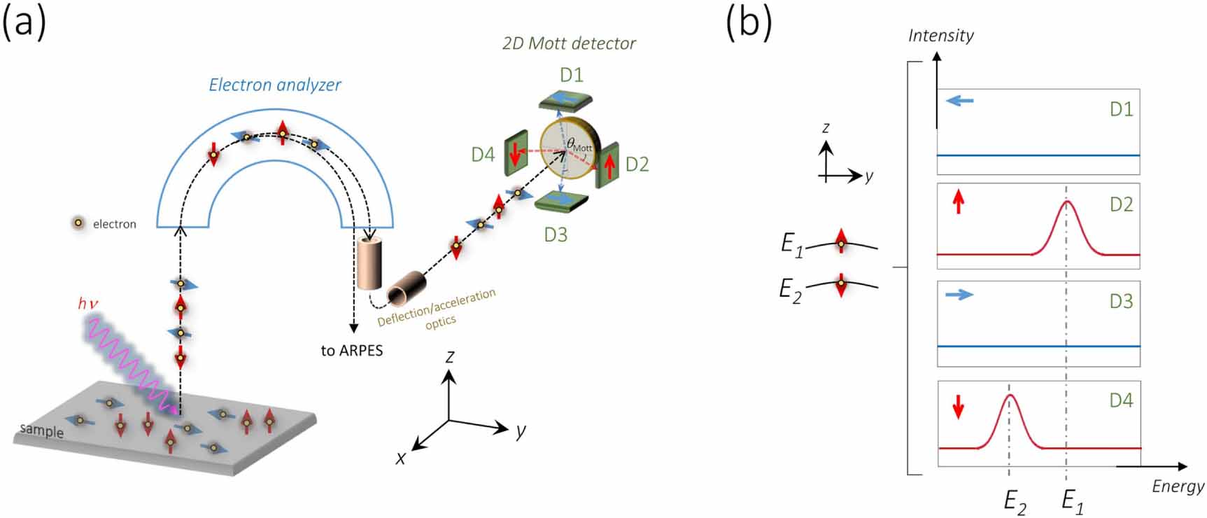 Band structure and spin texture of 2D materials for valleytronics ...