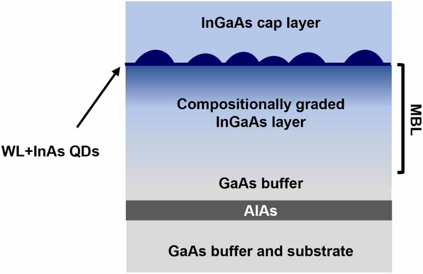 Structural properties of graded In x Ga As metamorphic buffer layers ...