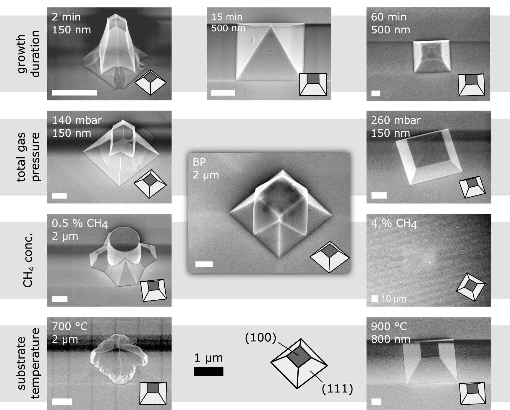 Fabrication of tips for scanning probe magnetometry by diamond growth ...
